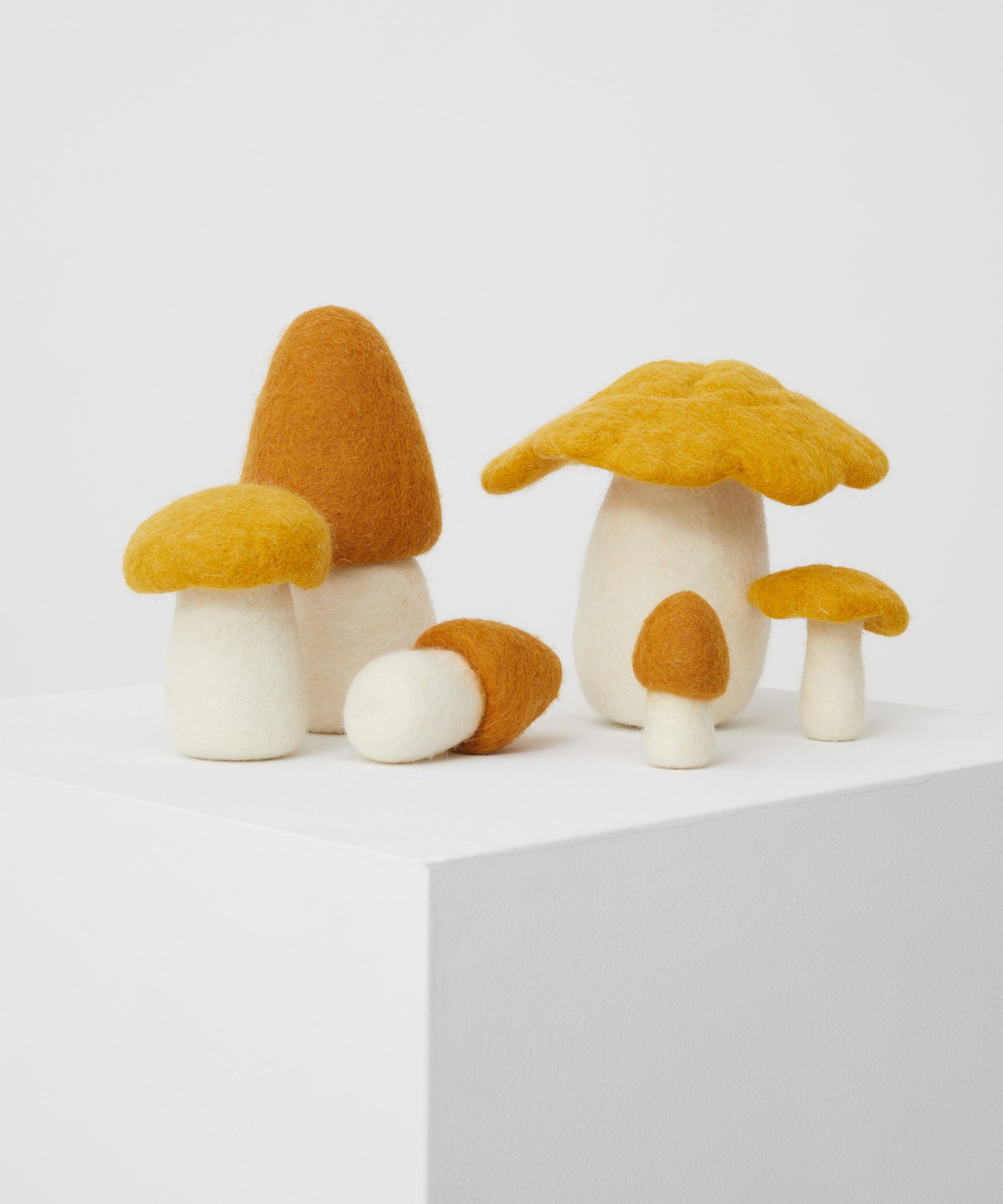 Felt Play Food | Crate of Mushrooms | Phile Australia – Philé